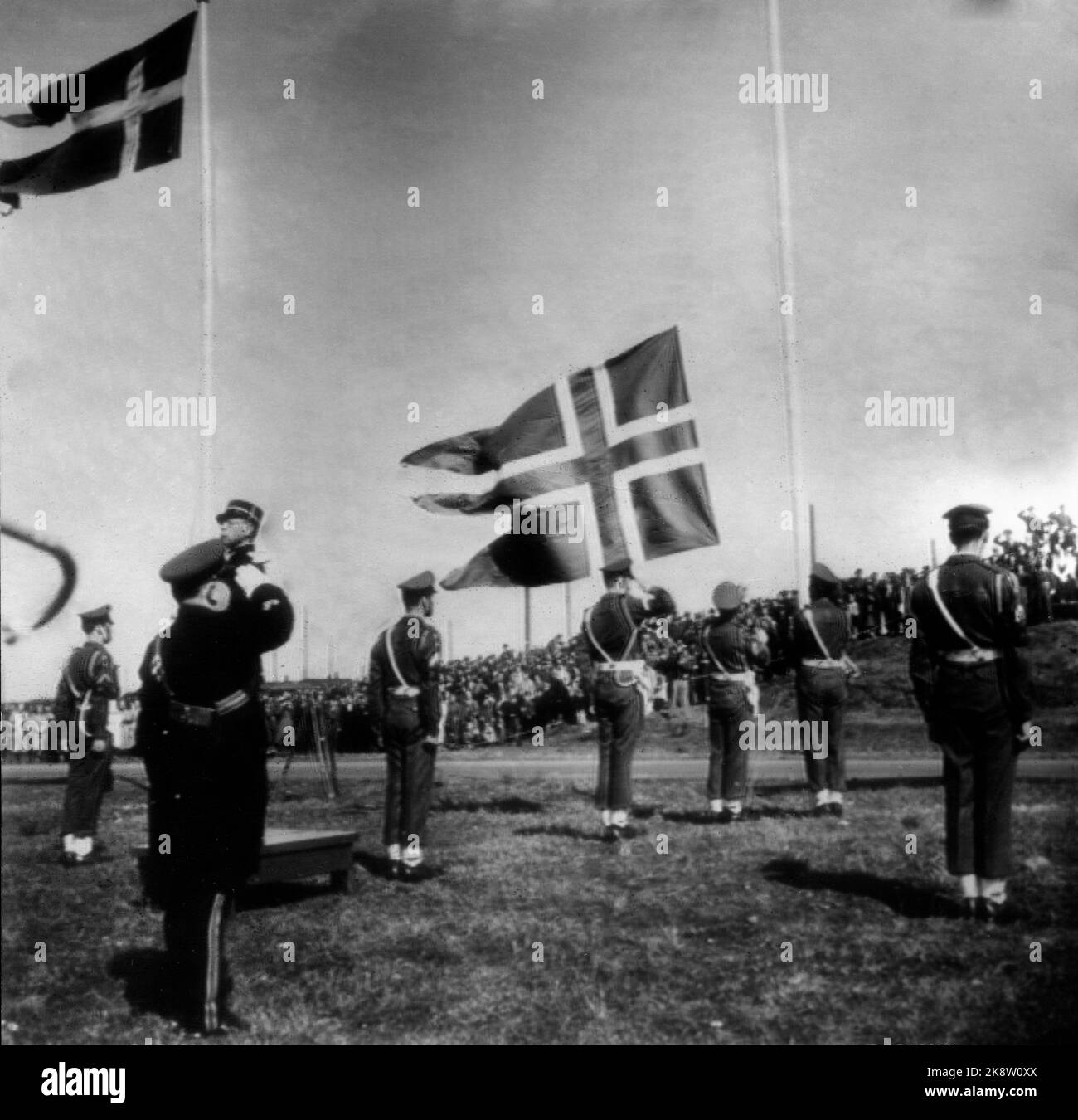 Solemn Brigade at Jamie Spinelli blog