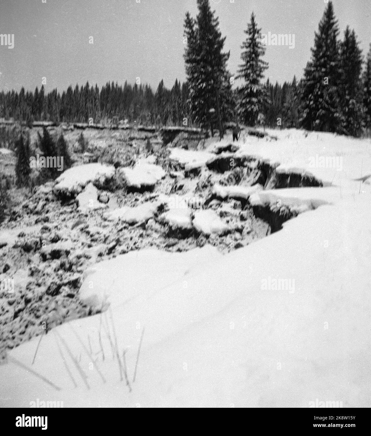 Fir trees overturn photo hi-res stock photography and images - Alamy