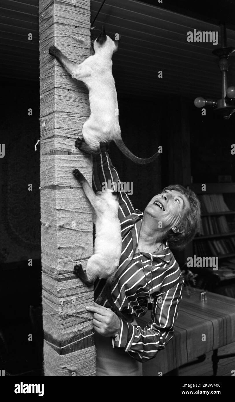 Nesodden 1963. Author Torborg Nedreaas, 1906 - 1987. Here she is in her ...