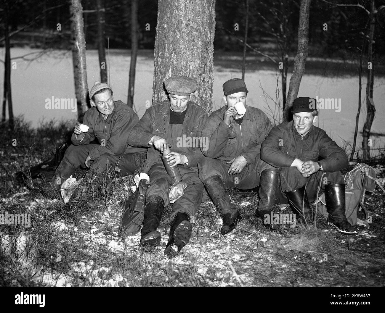 Oslo 19551130 The Christmas tree that will adorn Trafalgar Square in ...