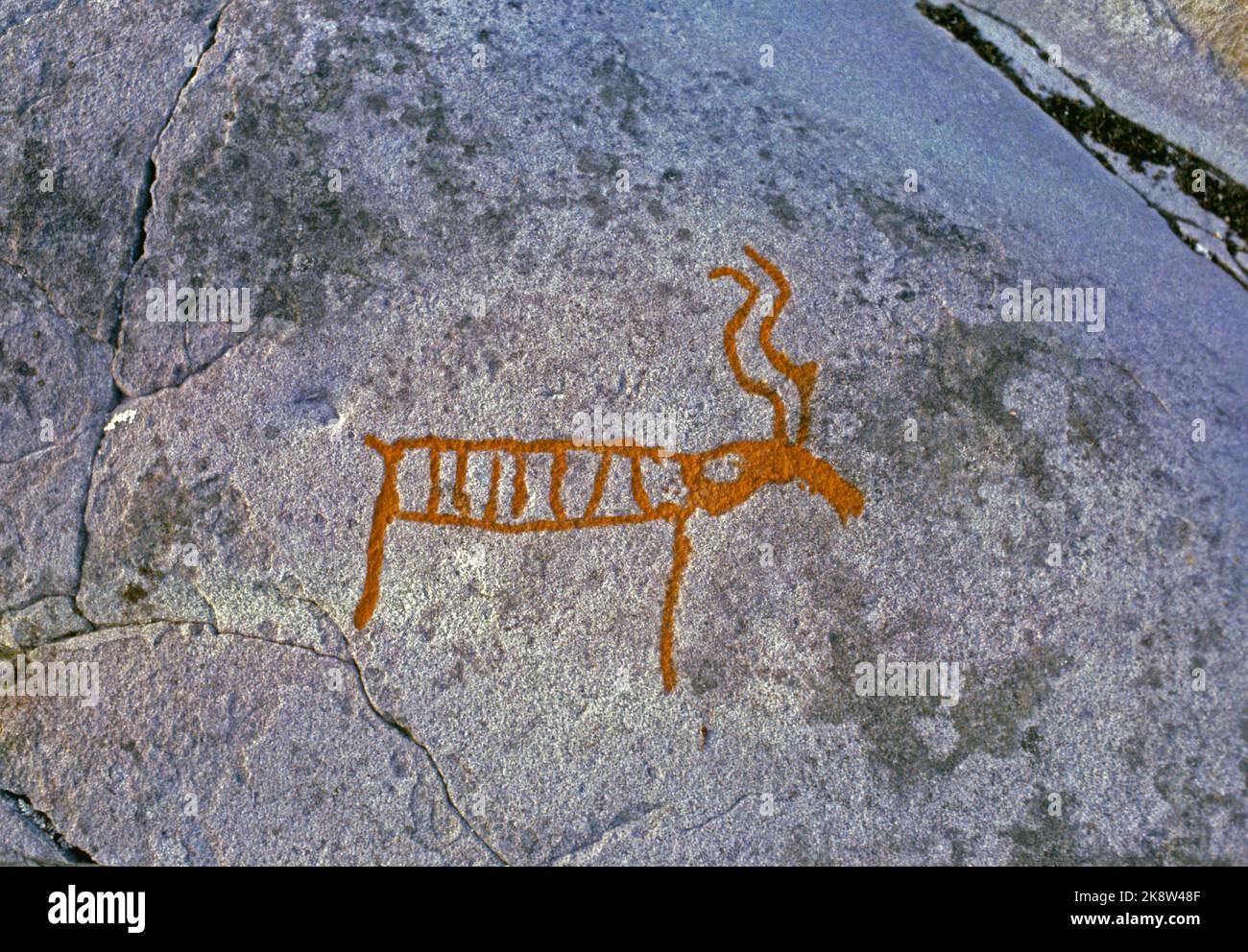 Alta, Finnmark 19790709. The rock carvings in Alta. The rock carving ...