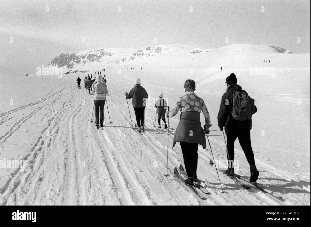 Hardangervidda Easter 1971. Easter holidays in sunshine: skiers with a ...