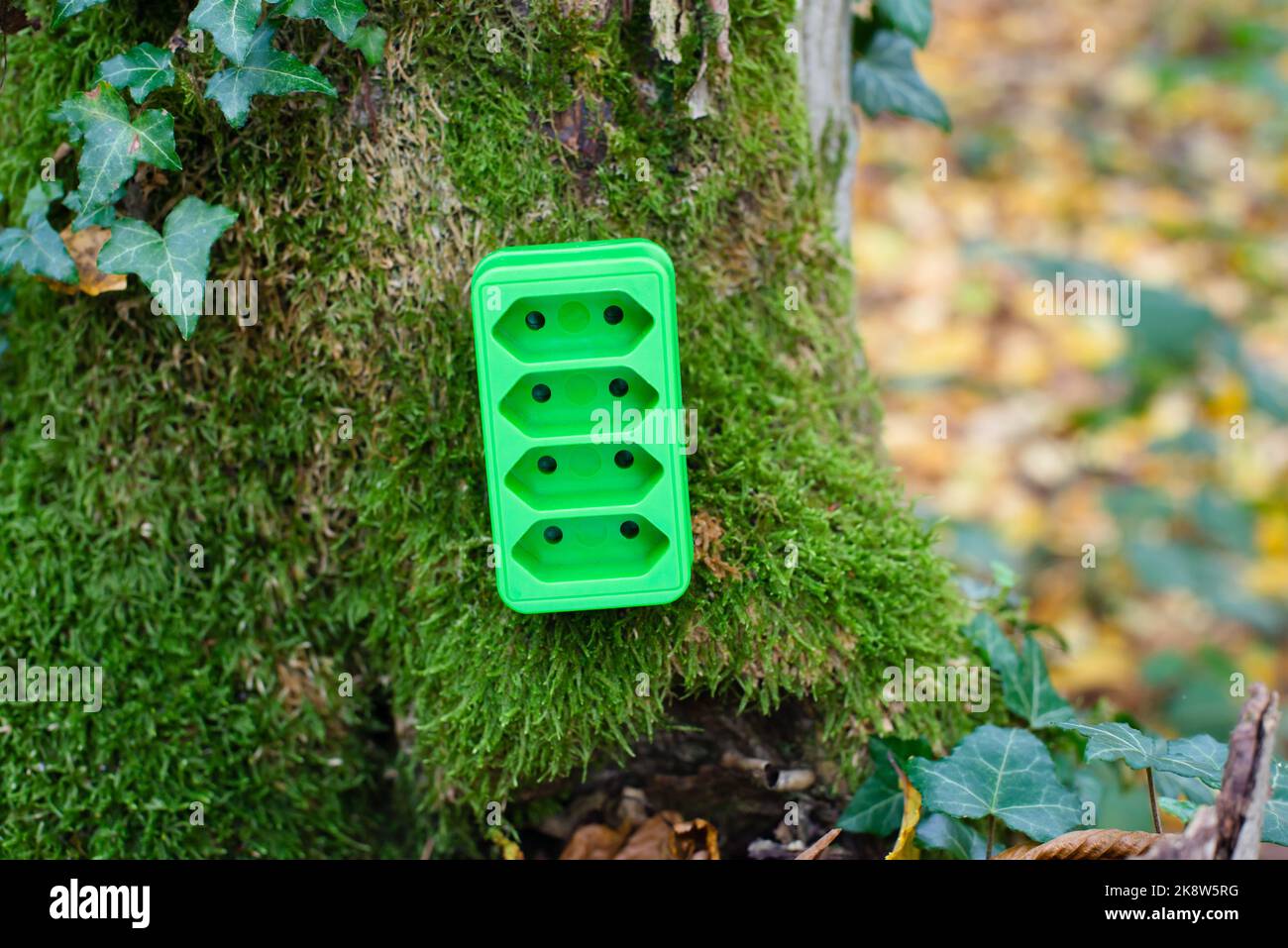 Green electricity socket on a tree trunk, substainable renewable energy ...