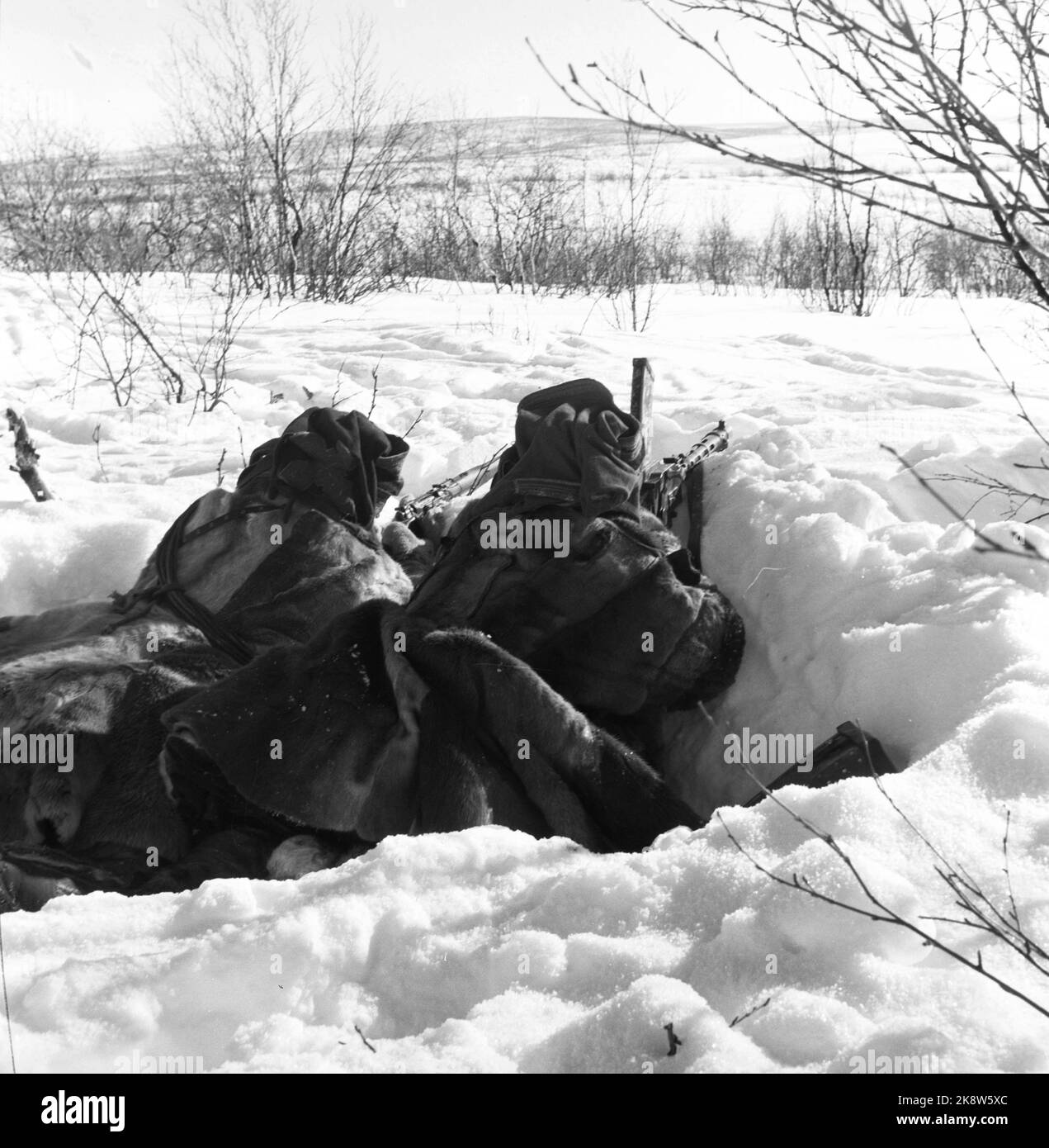 Finnmark 1952. Sami home defense soldiers on reindeer patrol exercise ...