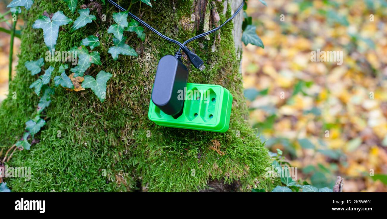 Green electricity socket on a tree trunk, substainable renewable energy ...