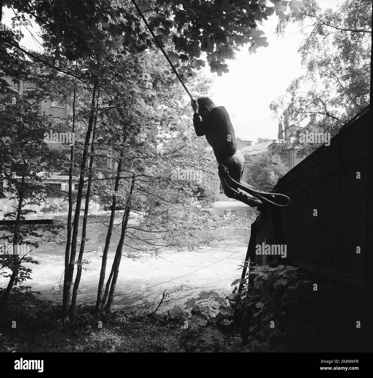 Boy falling from tree Black and White Stock Photos & Images - Alamy