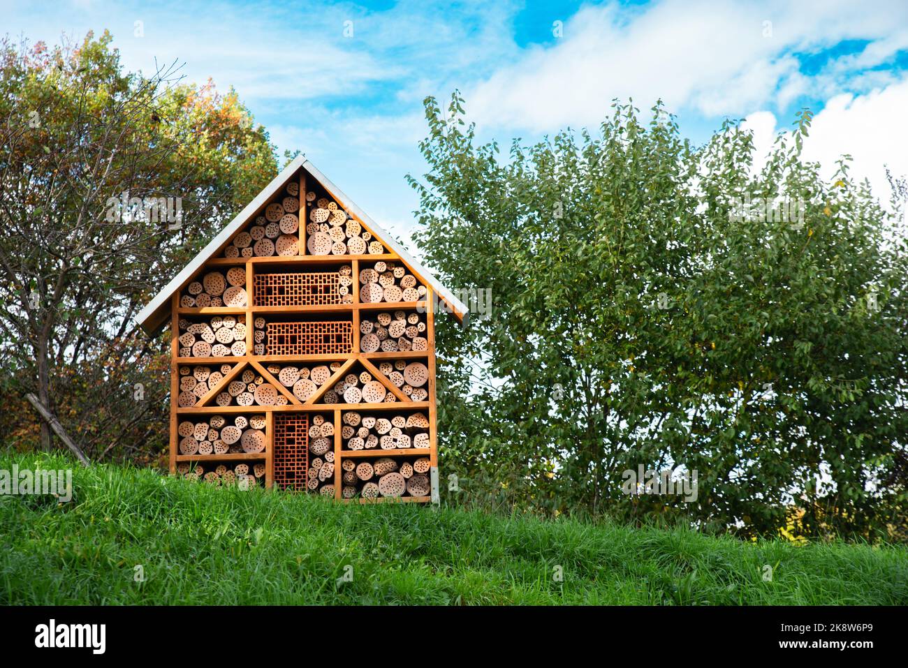 Wooden insect hotel, habitat for bugs and bees, rescue house ...
