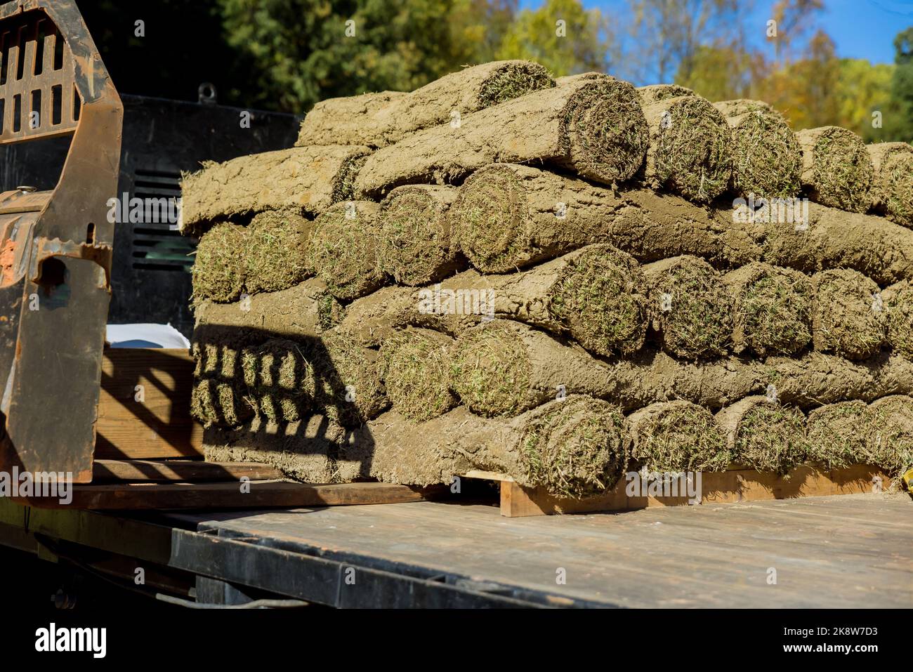 Unloads green grass turf rolls and rolls on pallets for landscaping ...
