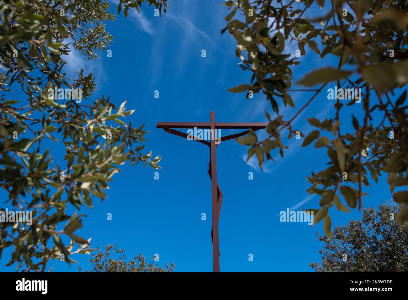 Scenic view from between the leaves of the trees to the new High Cross ...