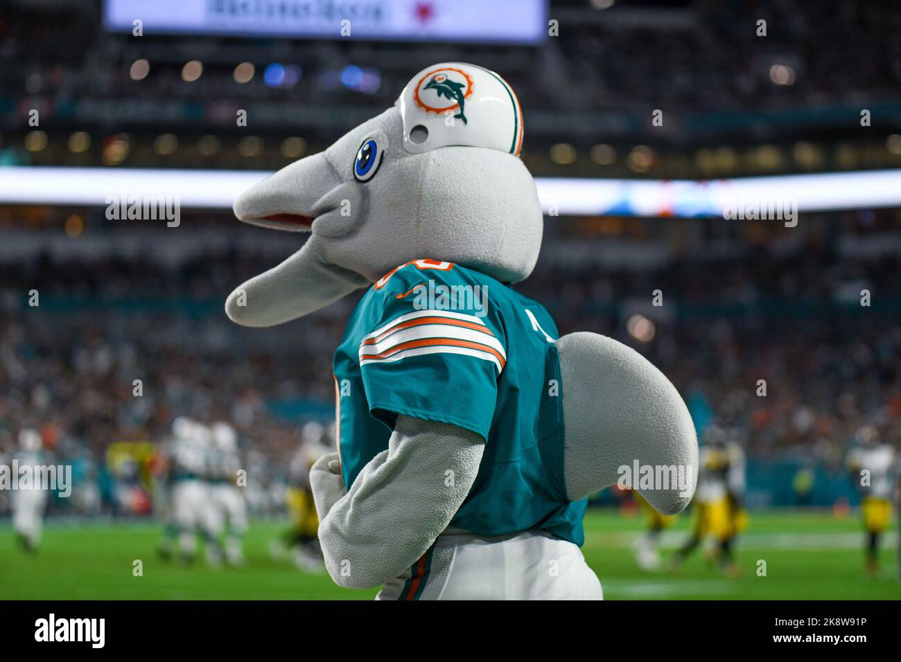 Dolphins Mascot 2022