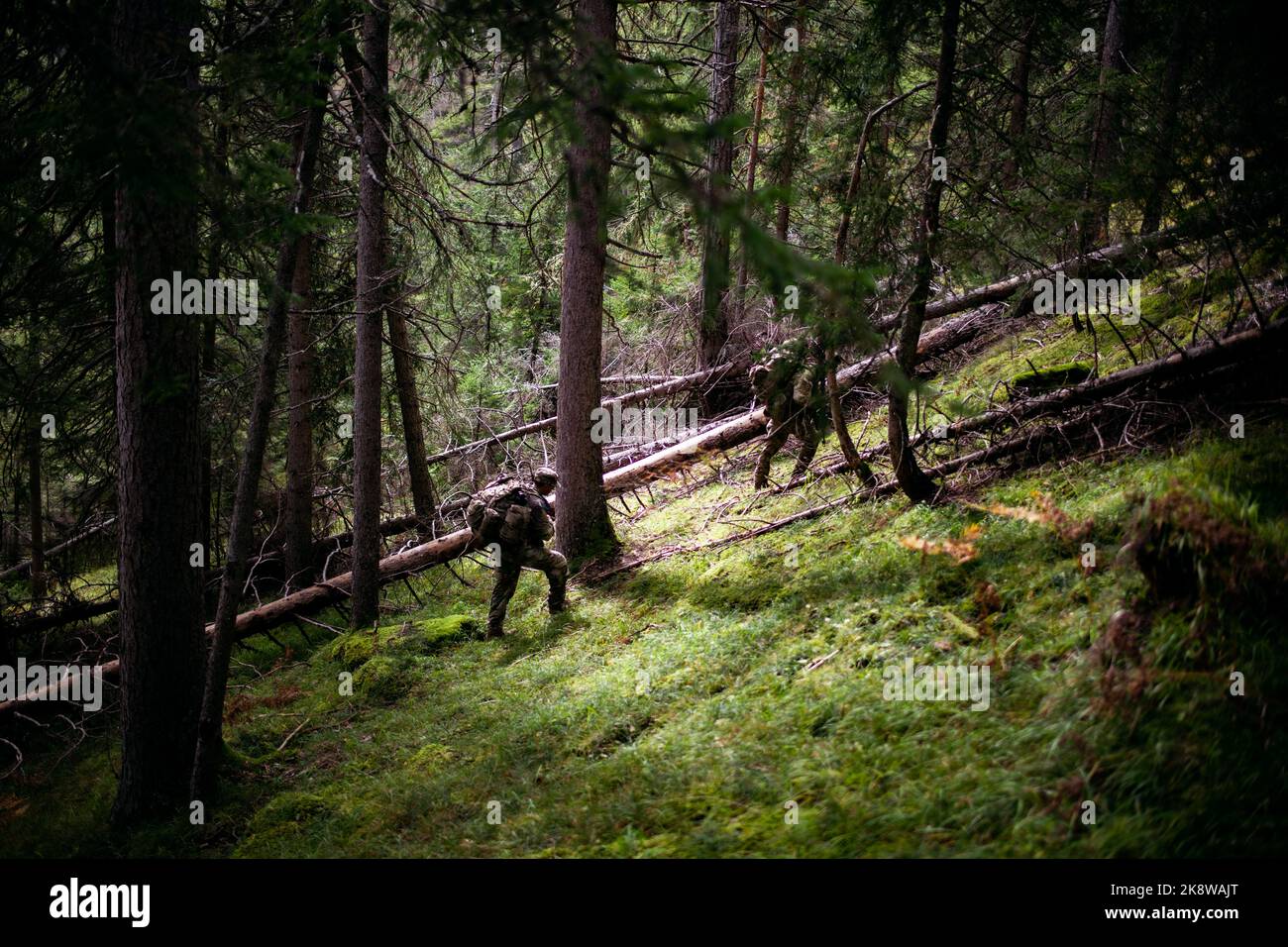 U.S. Army paratroopers assigned to 1st Battalion, 503rd Parachute ...