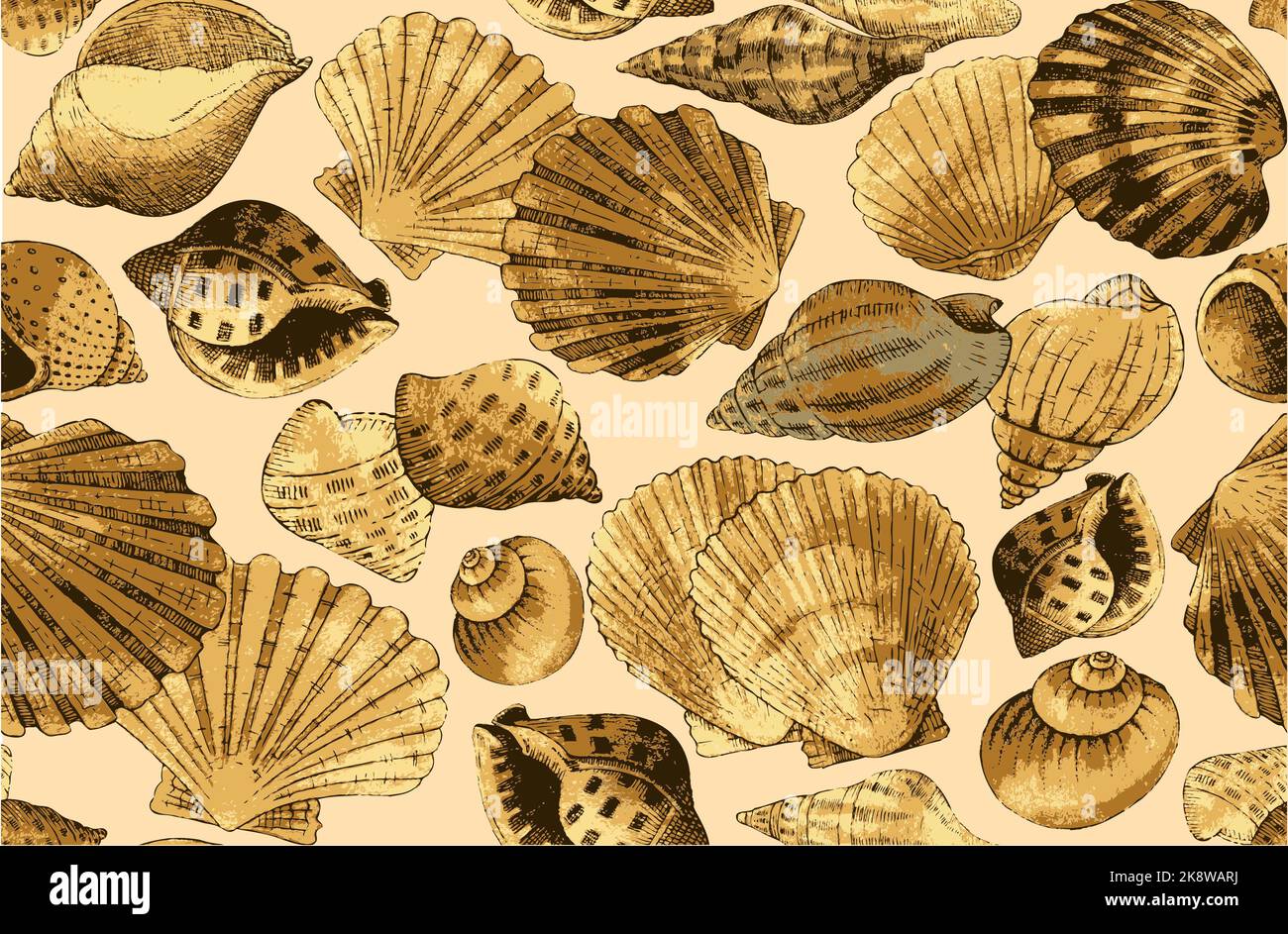 Retro seamless seashells pattern hi-res stock photography and images ...