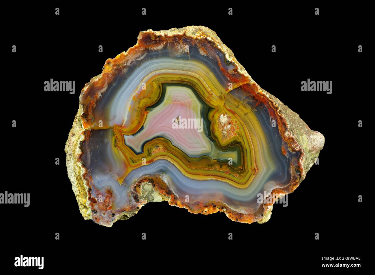 A cross section of the agate. Multicolored agate with a unique ...