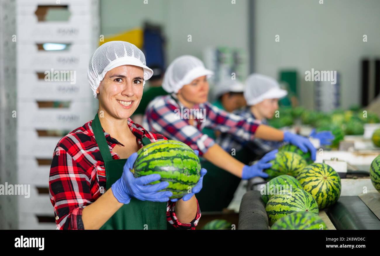Cheerful Hispanic woman working on watermelons sorting line in fruit ...