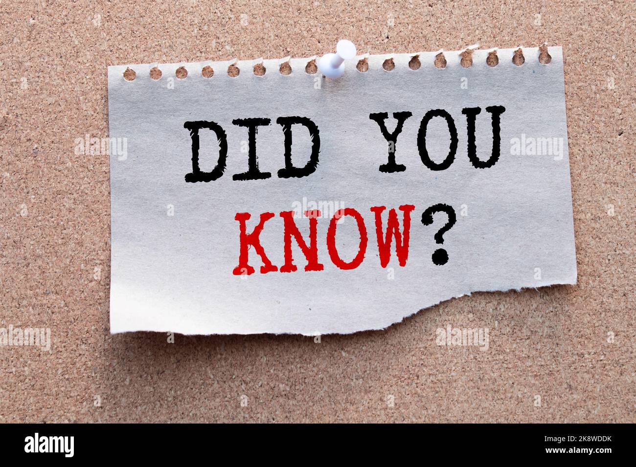 sticky note pinned to corkboard with the phrase did you know Stock ...