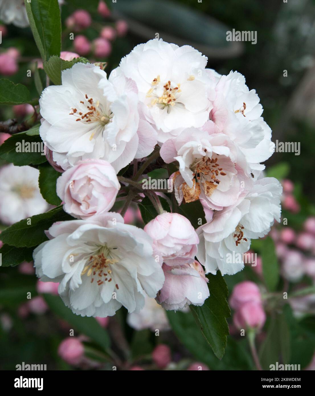 Spring 2022 hi-res stock photography and images - Alamy