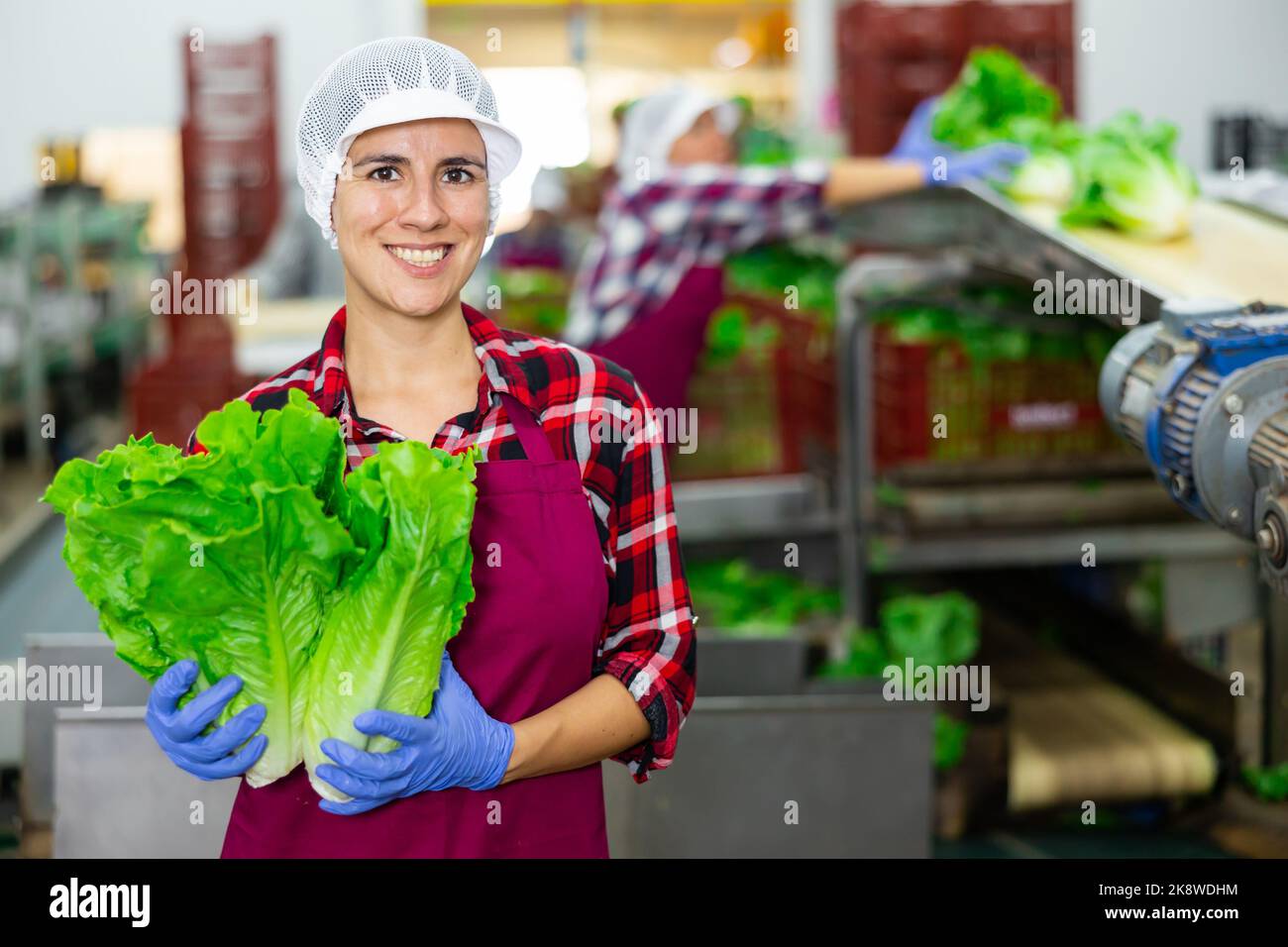 Positive Hispanic workwoman working on lettuce sorting line in ...