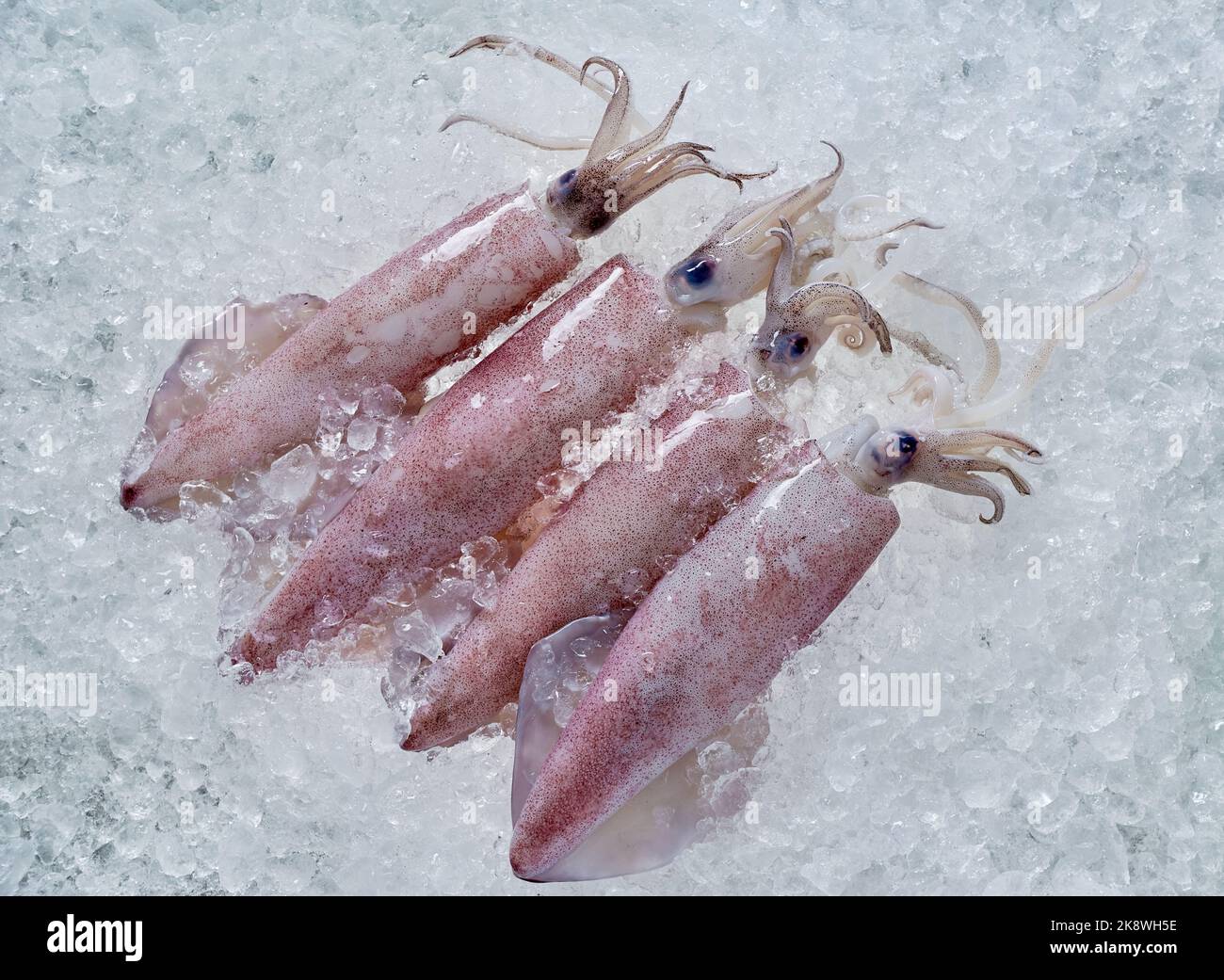 Frozen seafood on market close hi-res stock photography and images - Alamy