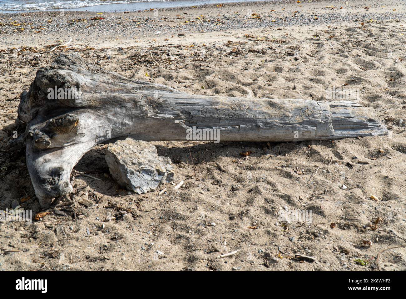 Lake shore trees people in hi-res stock photography and images - Alamy