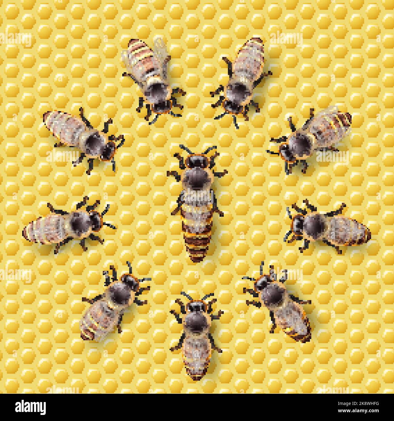 Realistic Bee Queen Mother on a Honeycomb and Bee Workers Around Her ...