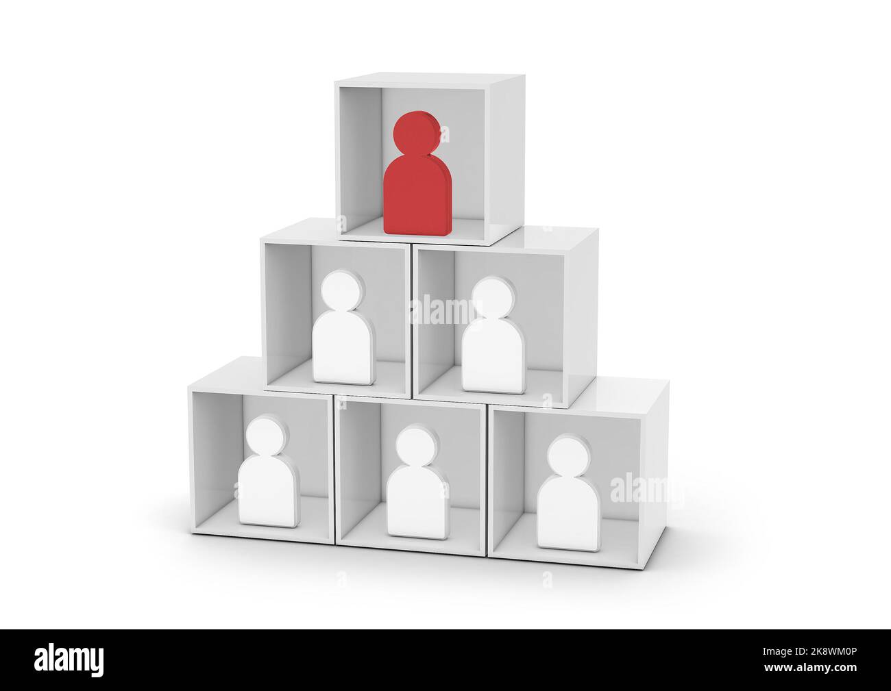 3D illustration of a leader and his team of collaborators inside cubes ...