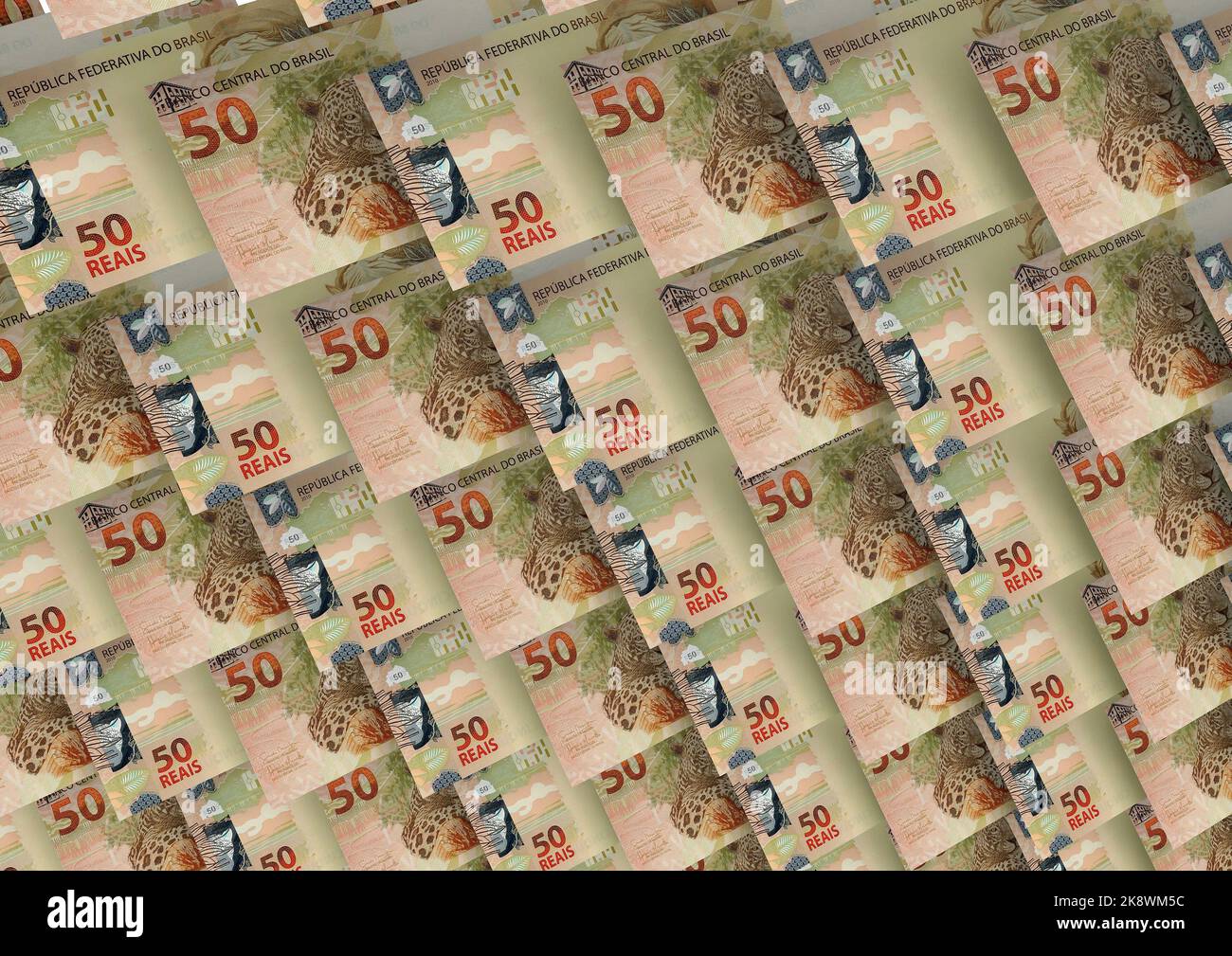 Official Money of Brazil, Real Currency. Money, reais, fifty reais ...