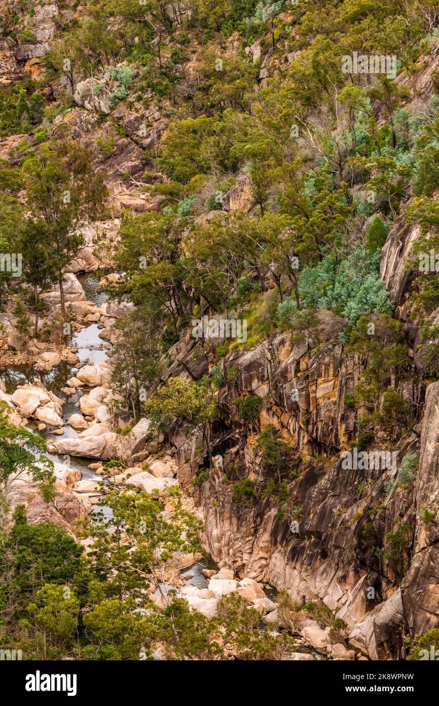 Rural, wilderness billabong, creek area of Queensland, Australia Stock ...