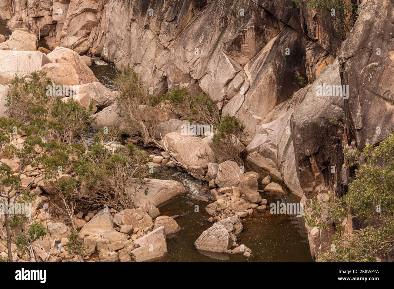 Rural, wilderness billabong, creek area of Queensland, Australia Stock ...