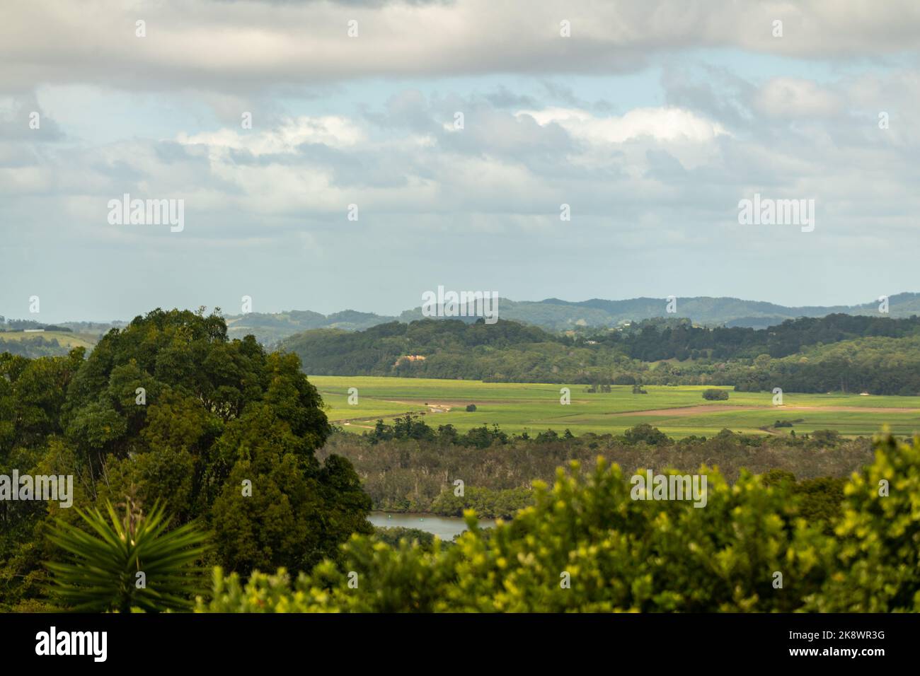 Rainforest australia queensland people hi-res stock photography and ...