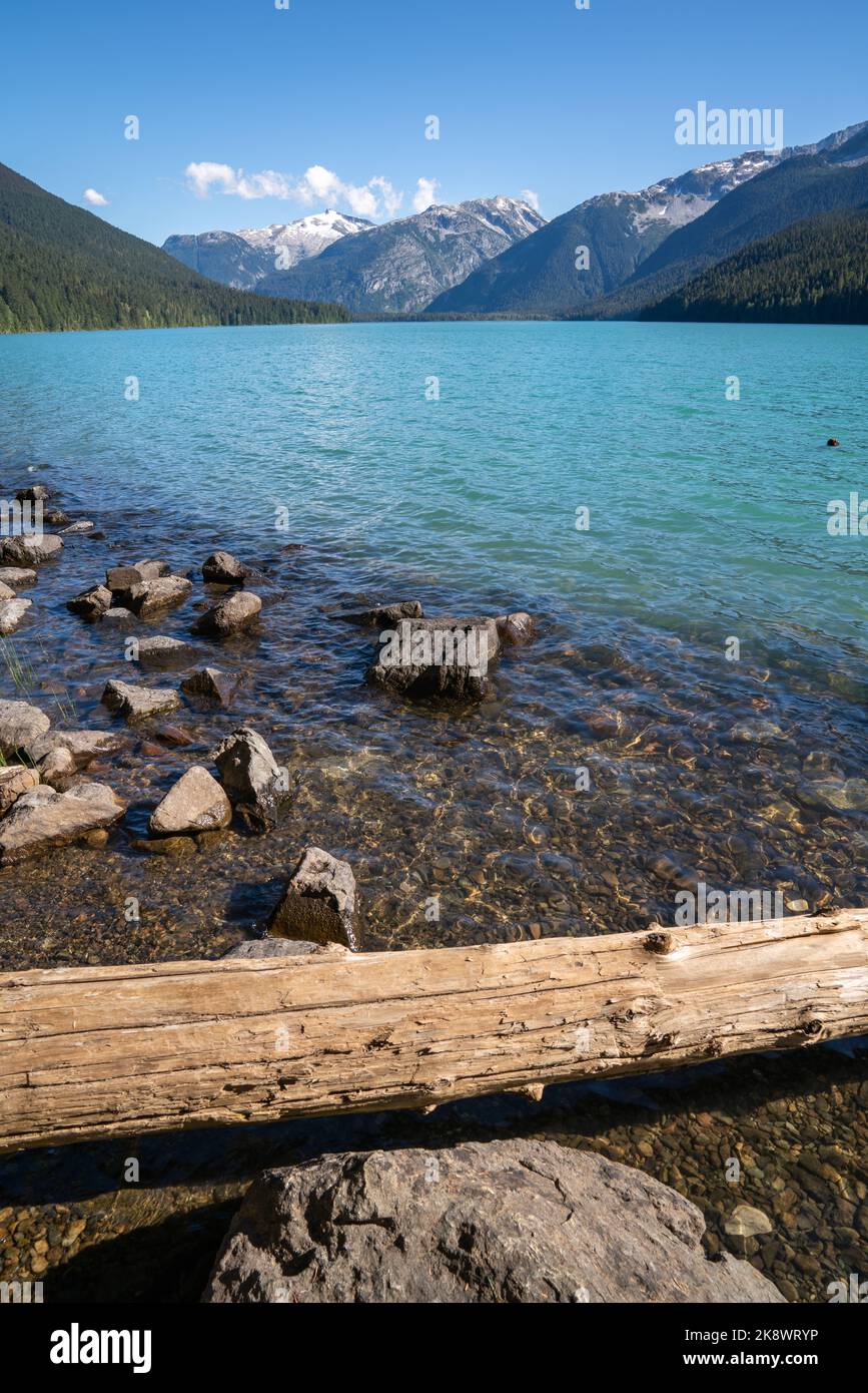 Cheakamous Lake shoreline with coastal mountain range in the backdrop ...