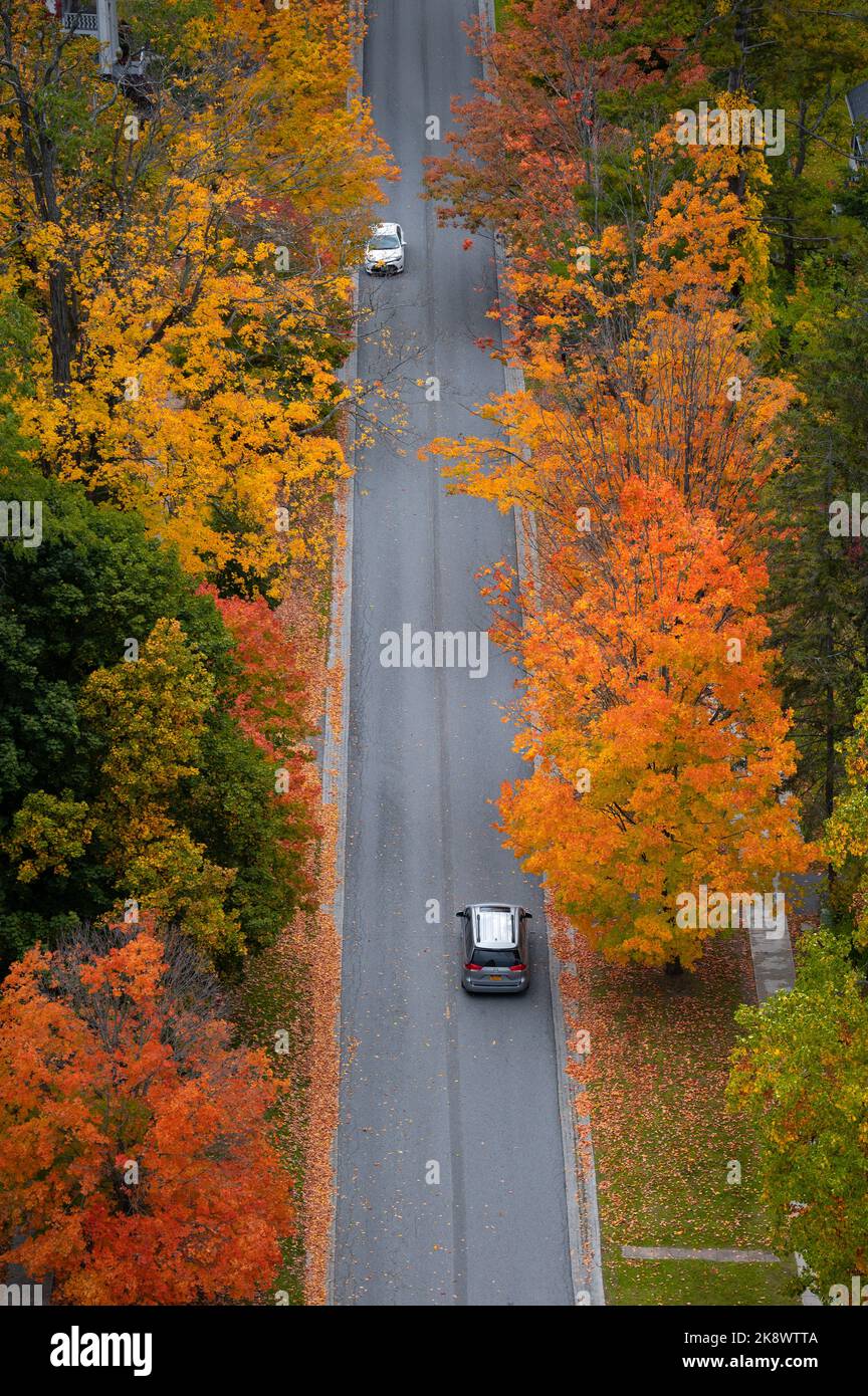 Road and Fall Foliage in Vermont Stock Photo - Alamy