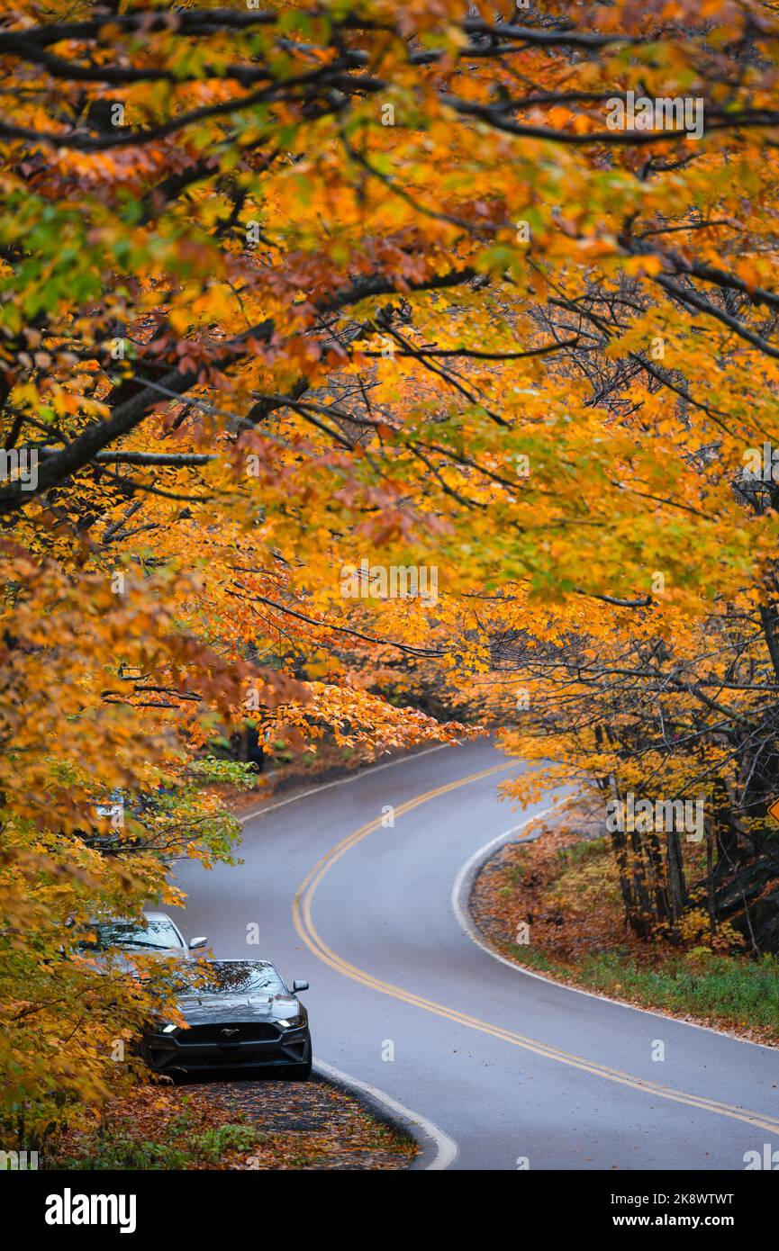 Road and Fall Foliage in Vermont Stock Photo - Alamy