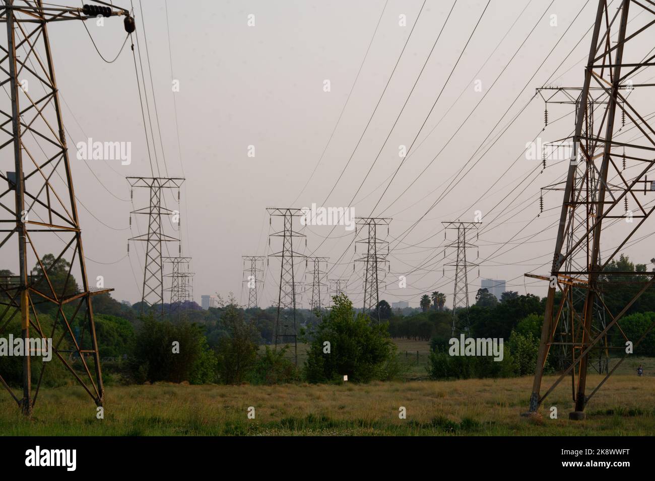 A forest of power pylons marching into the distance - framed by two ...