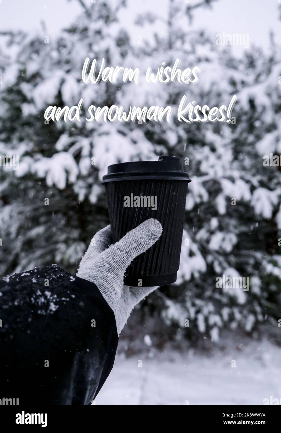 Warm wishes and snowman kisses Inspiration joke quote phrase Female ...