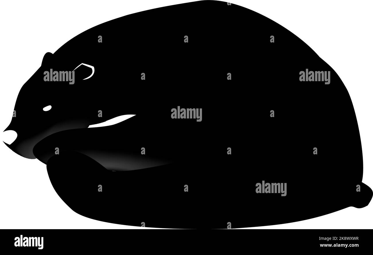 Bear sleeping zoo Cut Out Stock Images & Pictures - Alamy