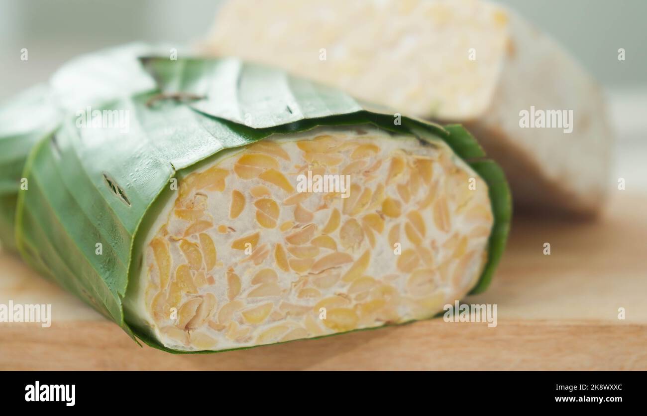 Raw tempe or tempe indonesian traditional food made from fermented ...