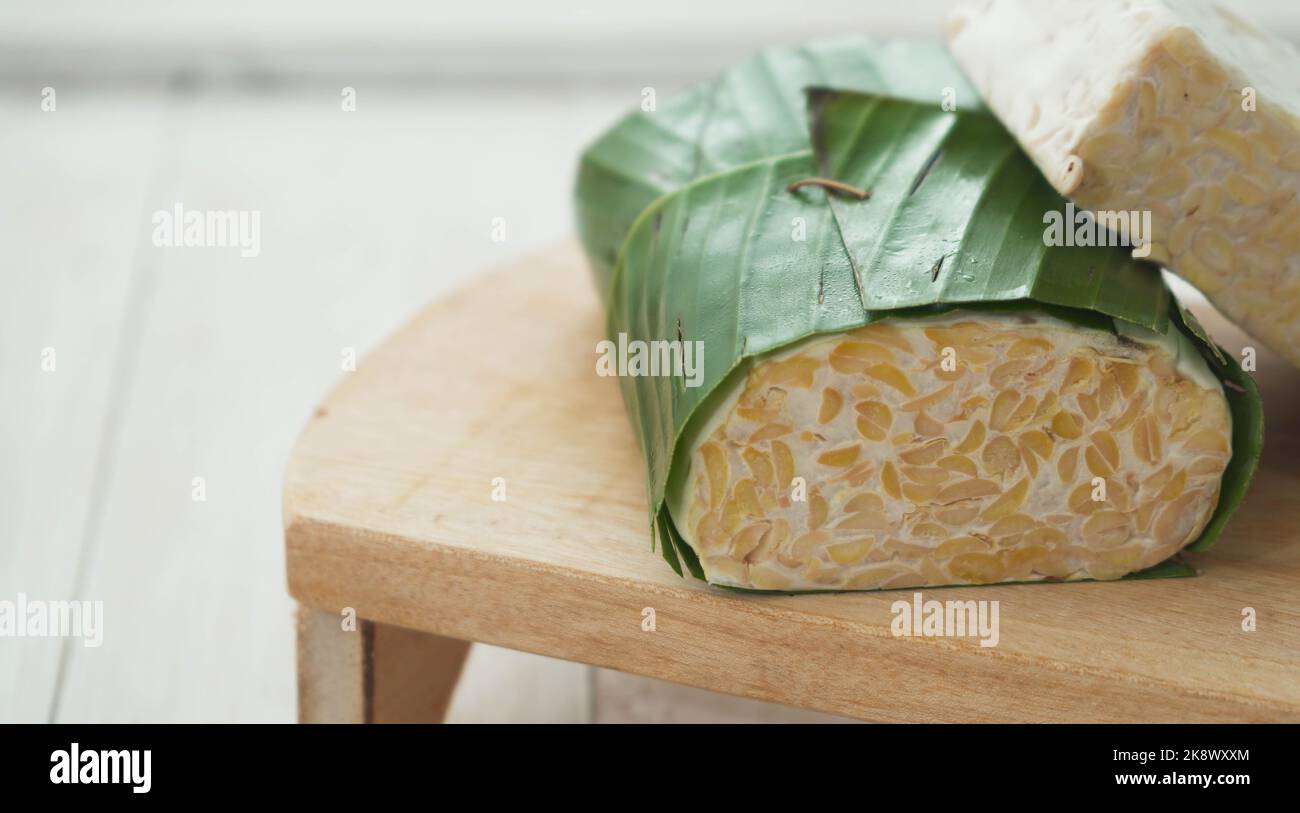 Raw tempe or tempe indonesian traditional food made from fermented ...