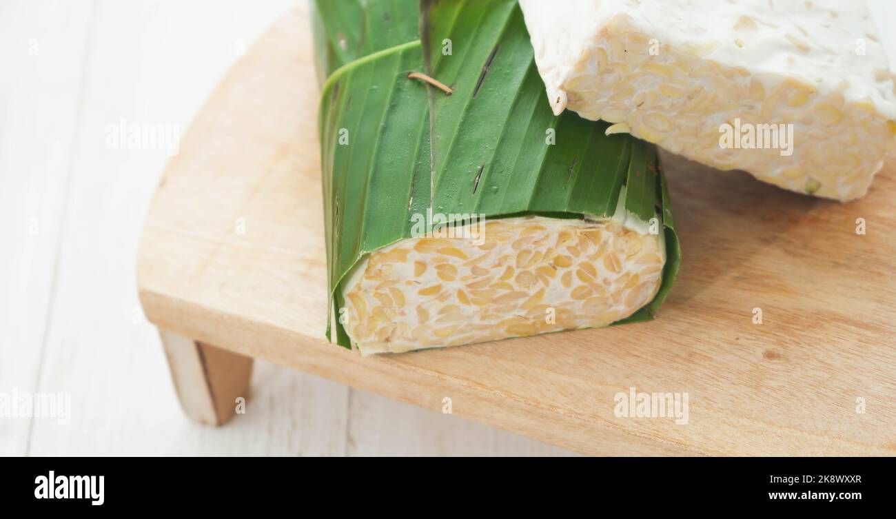 Raw tempe or tempe indonesian traditional food made from fermented ...