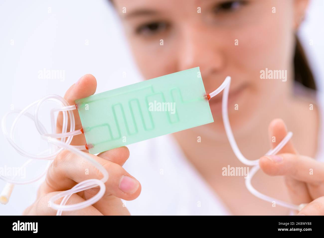 female student laboratory assistant young woman holds in her hands Lab ...