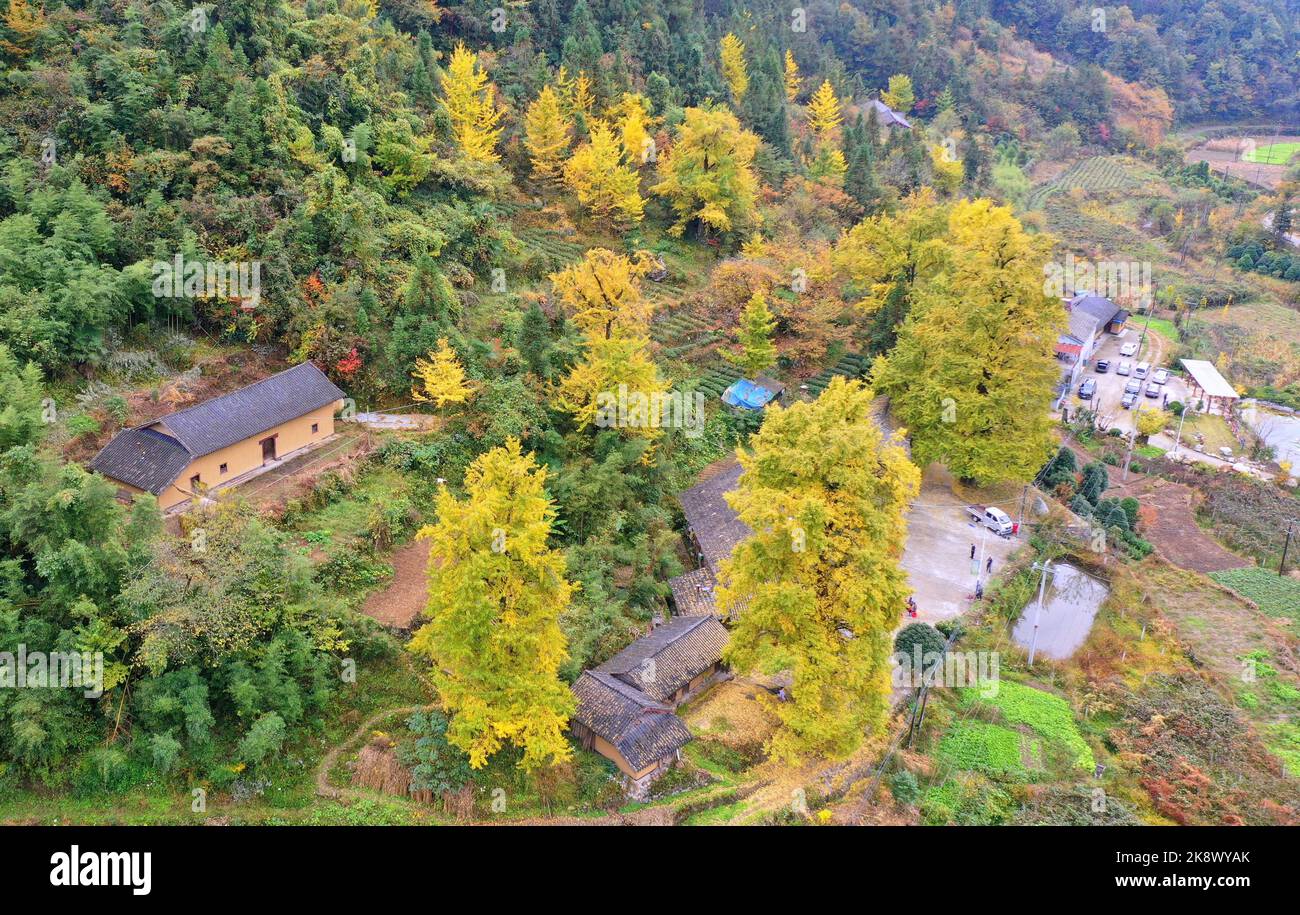 YICHANG, CHINA - OCTOBER 24, 2022 - An aerial photo shows the scenery ...