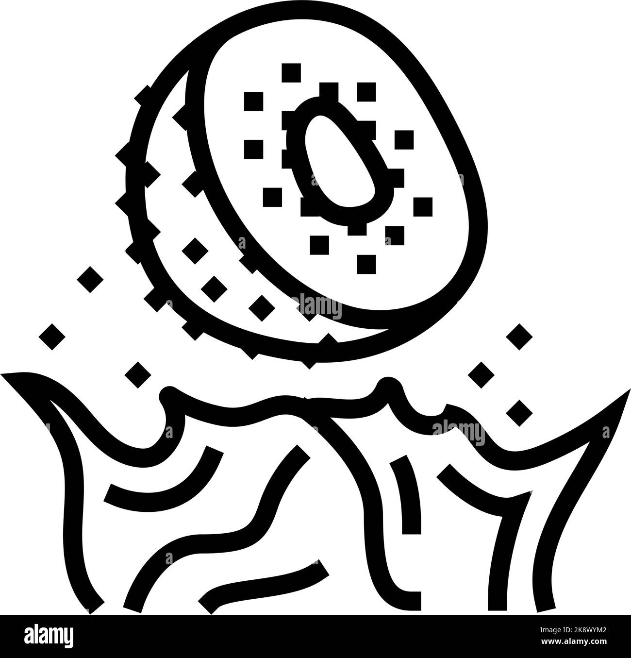 Kiwi fruit juice splash Black and White Stock Photos & Images - Alamy