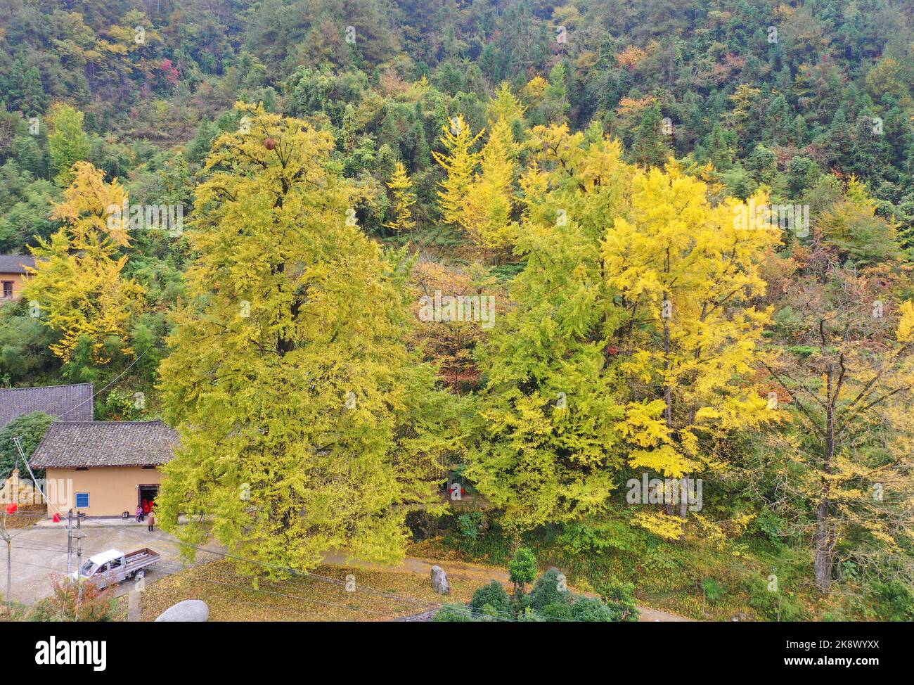 YICHANG, CHINA - OCTOBER 24, 2022 - An aerial photo shows the scenery ...