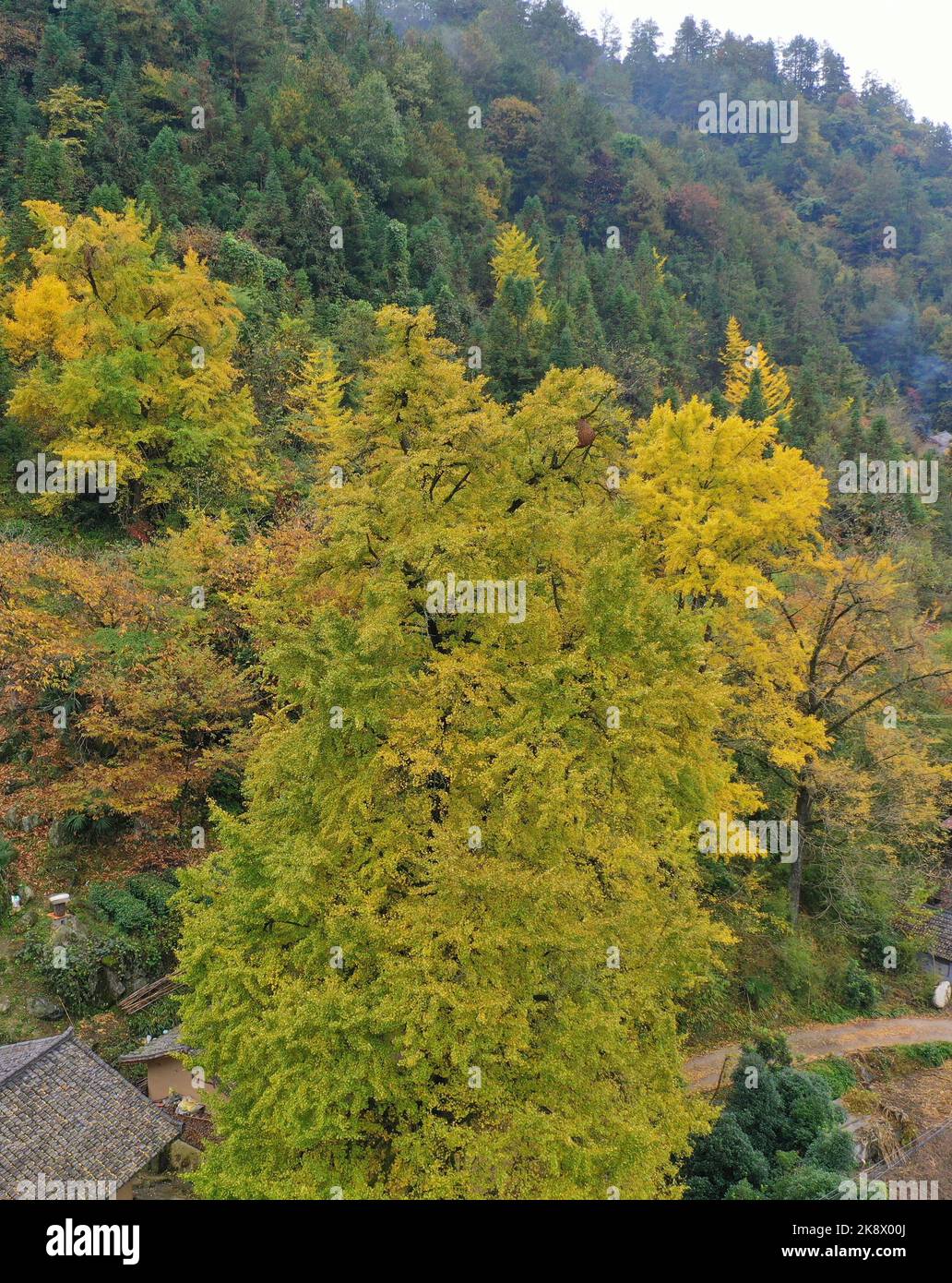 YICHANG, CHINA - OCTOBER 24, 2022 - An aerial photo shows the scenery ...