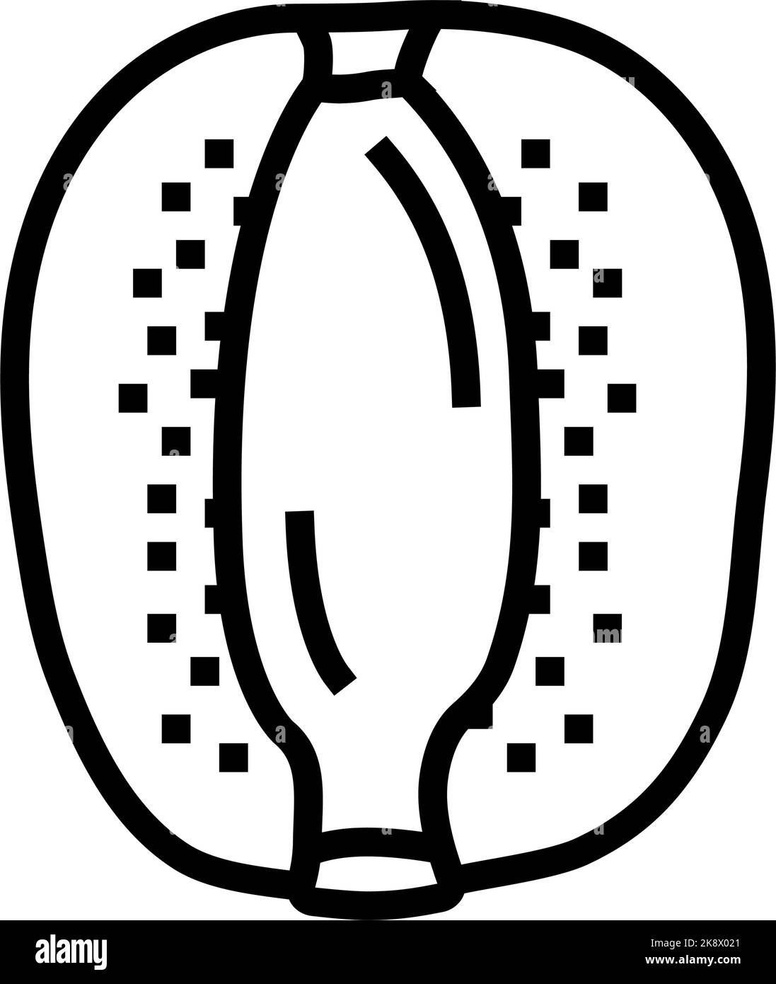 cut kiwi fruit fresh line icon vector illustration Stock Vector Image ...