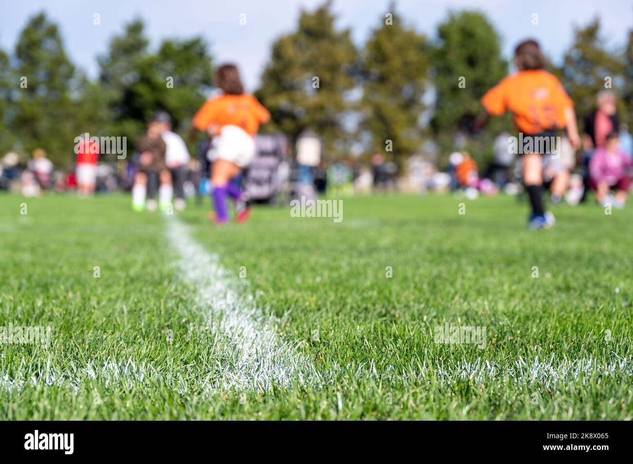 Selective focus on ground level view of soccer field center line with ...