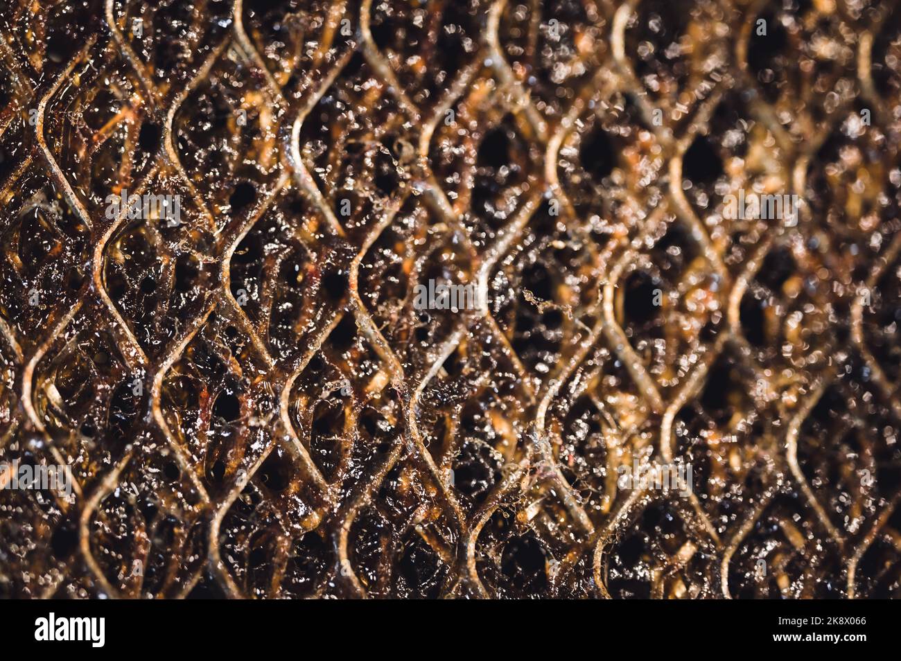 Selective focus macro of a dirty kitchen range hood filter clogged with ...