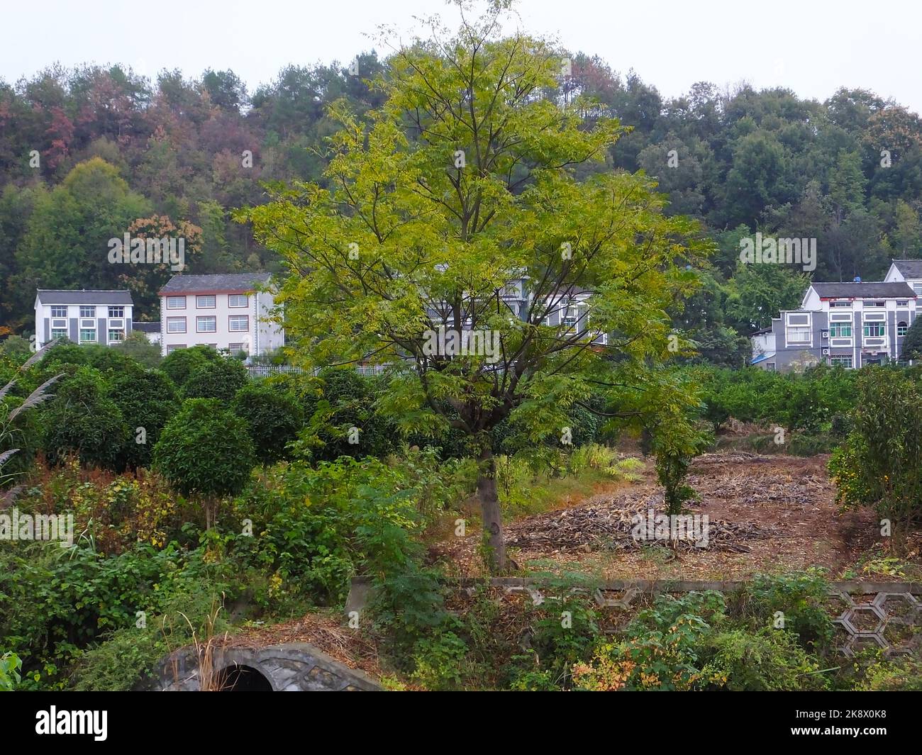 YICHANG, CHINA - OCTOBER 25, 2022 - A view of Guanzhuang village in Yichang City, Hubei Province ...