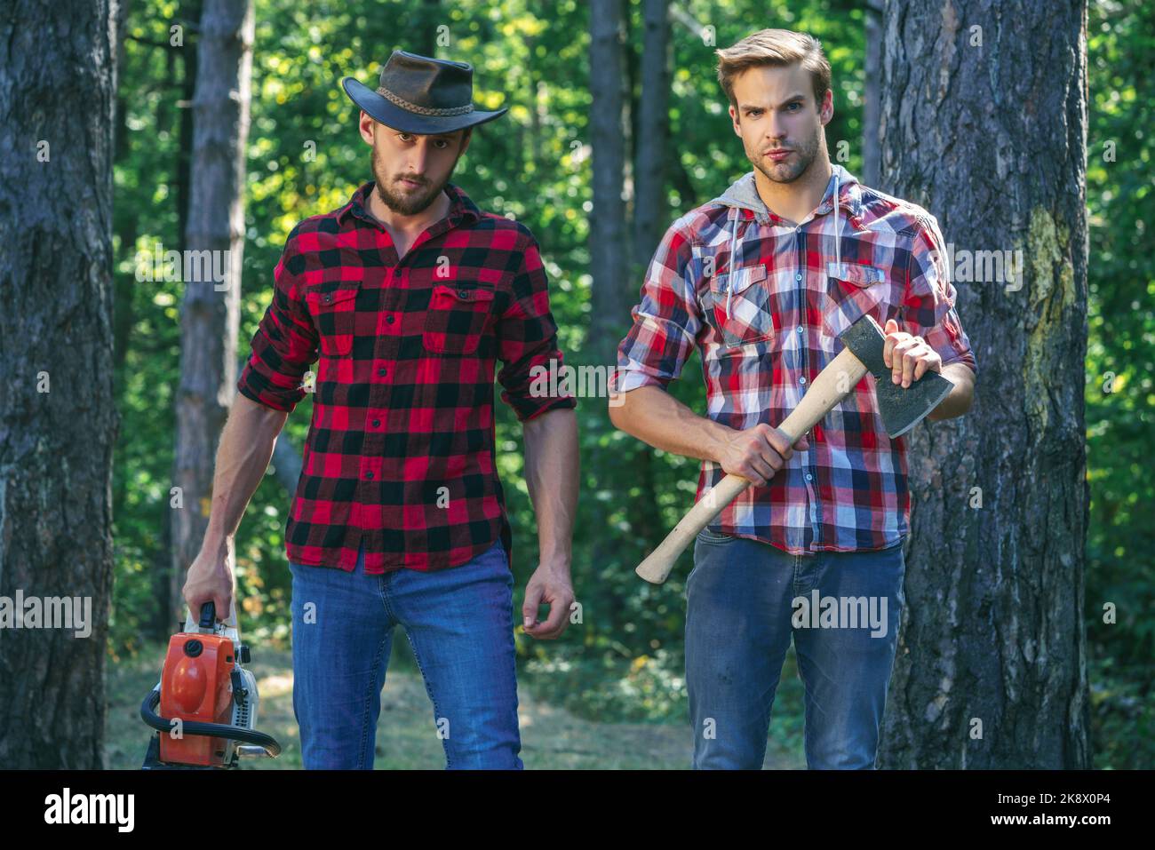 Two cutting tree in forest hi-res stock photography and images - Alamy