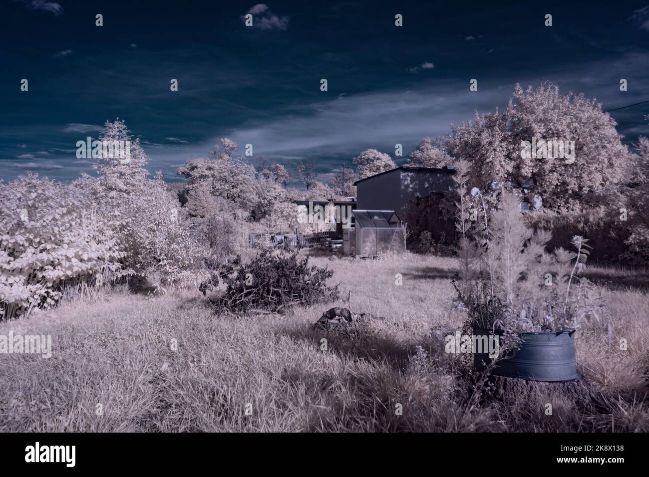 Infrared 720nm landscape with glowing white vegetation, surreal ...