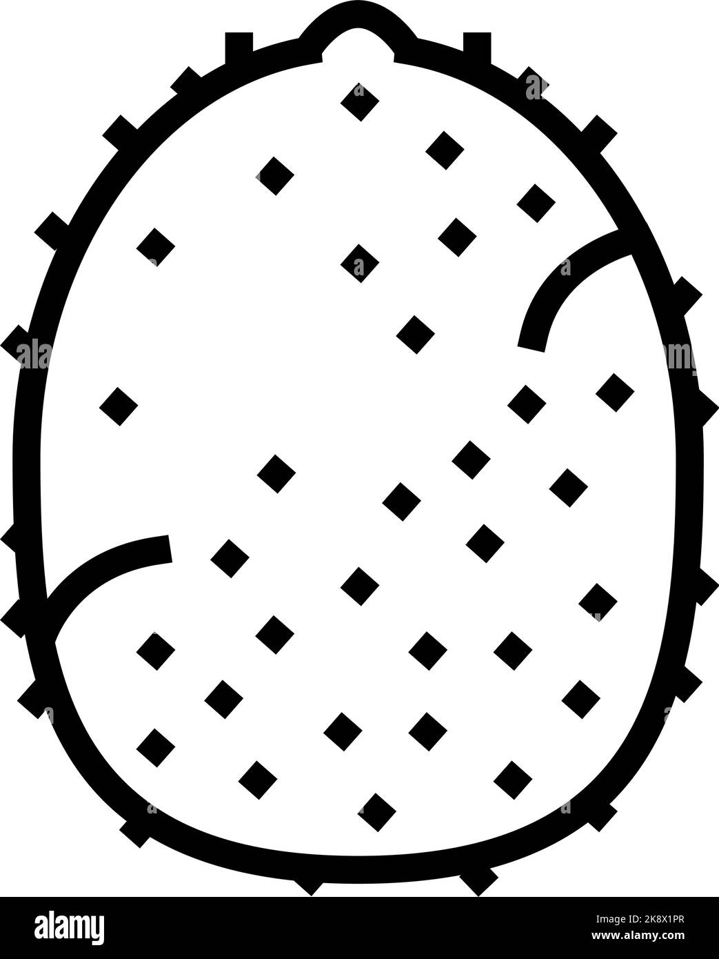 kiwi fruit line icon vector illustration Stock Vector Image & Art - Alamy